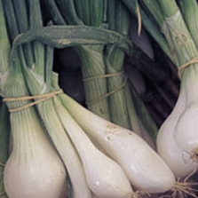 Cébette - Charles cuisine